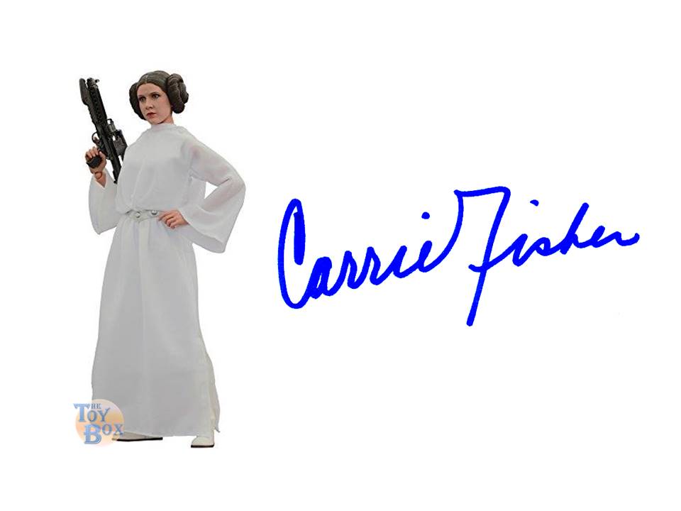 The Toy Box: Remembering Carrie Fisher with Princess Leia (Hot Toys) The Toy Box: Remembering Carrie Fisher with Princess Leia (Hot Toys)