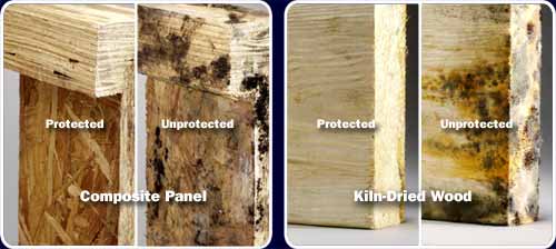 Wood Rot Protection