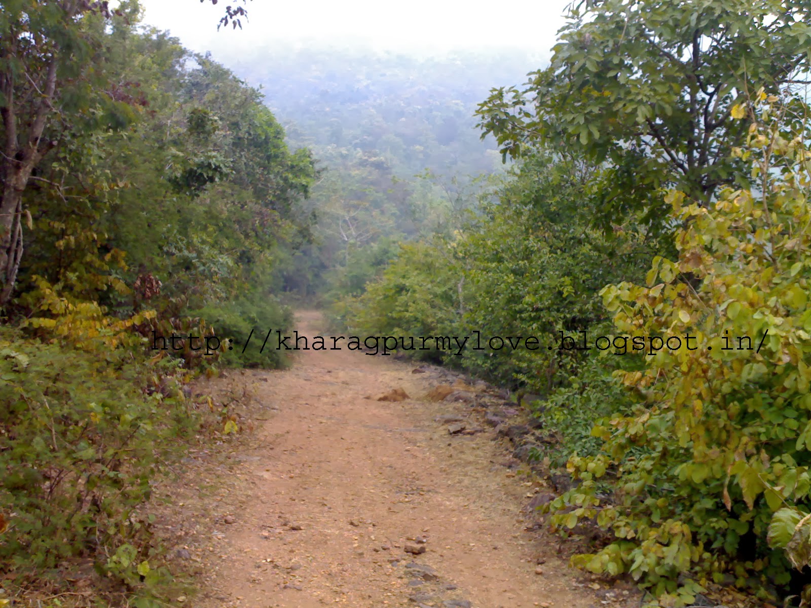 kharagpurmylove: Boronti, Muradi and Bero: Untrap natural habitat from ...