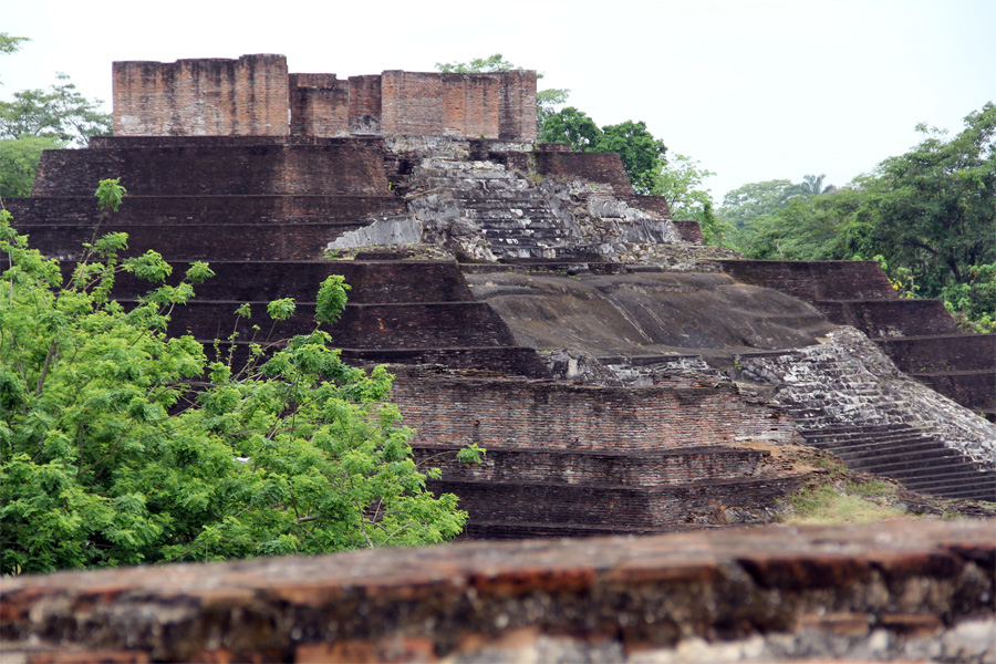 Art by Linda Queally: Spotting Monkeys in The Mayan Jungle Ruins of ...