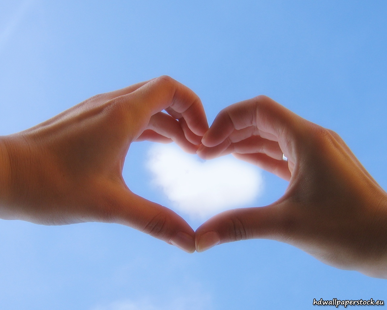 Heart shaped hands wallpaper | Wallpapers-Wallpaper Free 3979