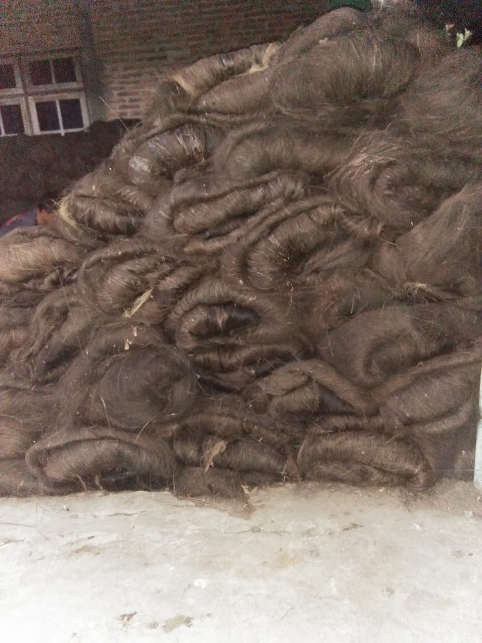 Jual Ijuk Resapan | Ijuk Tali di Depok Kab. Sleman DI Yogyakarta