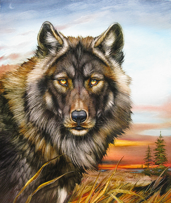 Martin Katon Art Studio: Animals