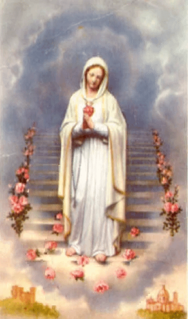 Guadalupe House Ministry : Mary, the "Rosa Mystica"