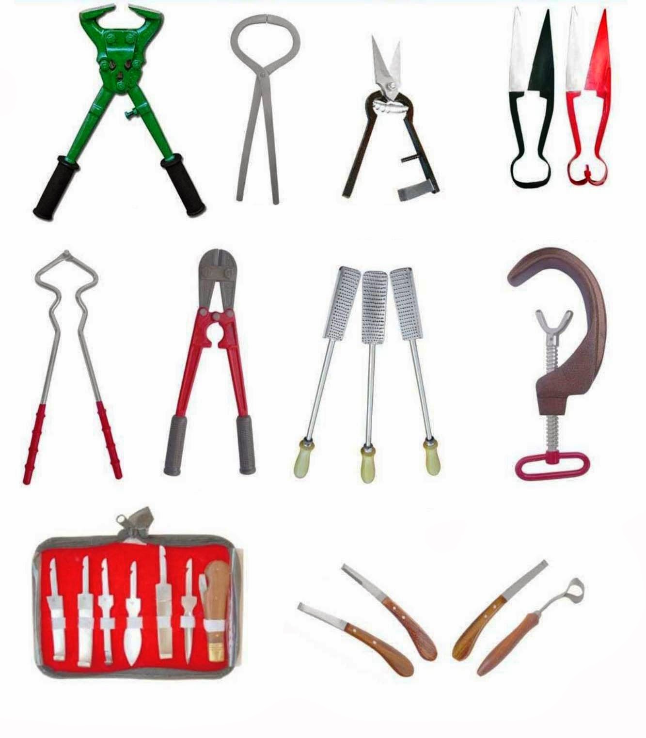 Quality Veterinary and Surgical Instruments