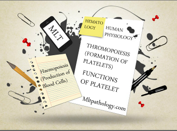 THROMOPOIESIS (FORMATION OF PLATELETS)