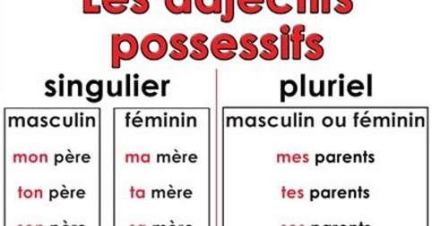 FLE en ESO: La famille et les adjectifs possessifs
