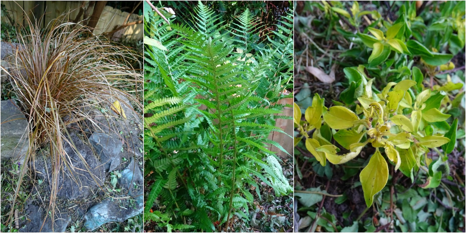 Vintage Vixen: The Distancing Diaries - Day 70 & 71