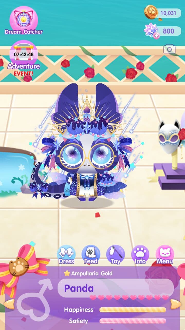 L'isola di LLona : My Dream Cat Paradise