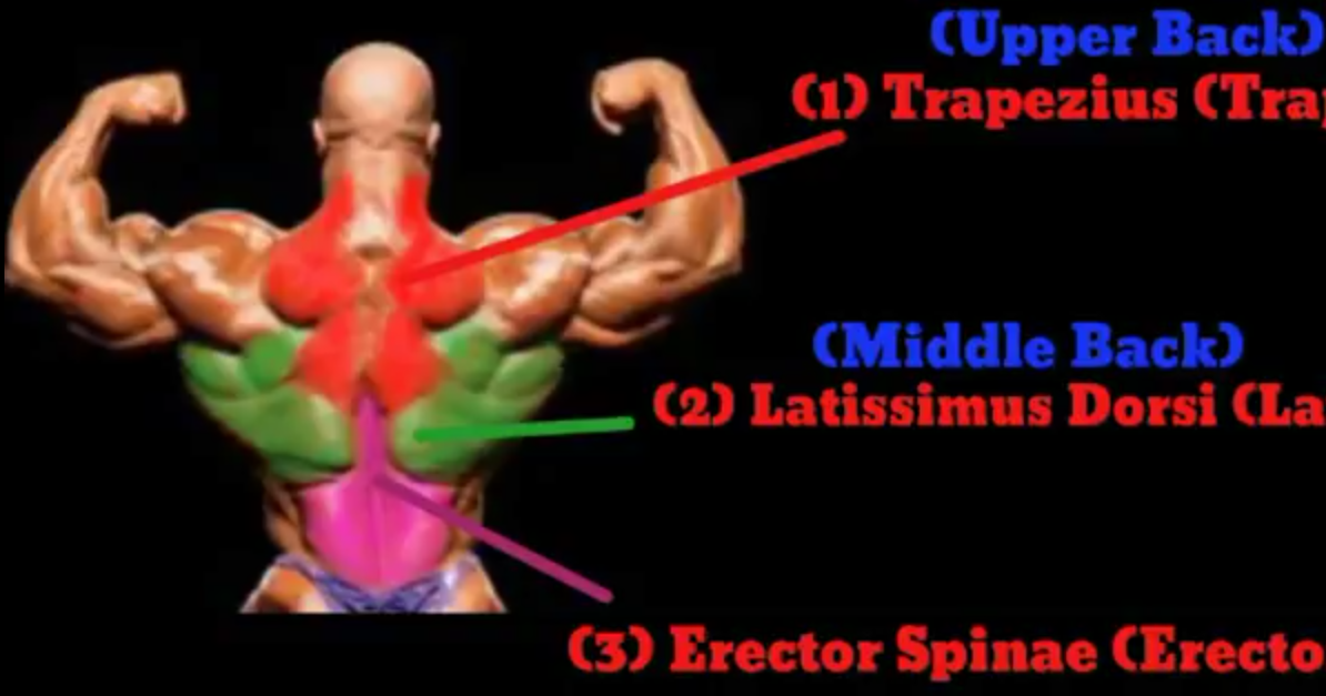 Back Workout Routine for Mass - Back Exercise at home for Men