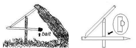 SWORD: Make a survival deadfall trap