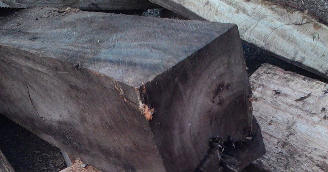 Harga Kayu Mangga - DUTA RIMBA INDONESIA