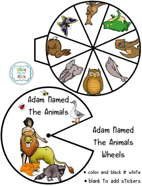 Adam Names the Animals | Bible Fun For Kids