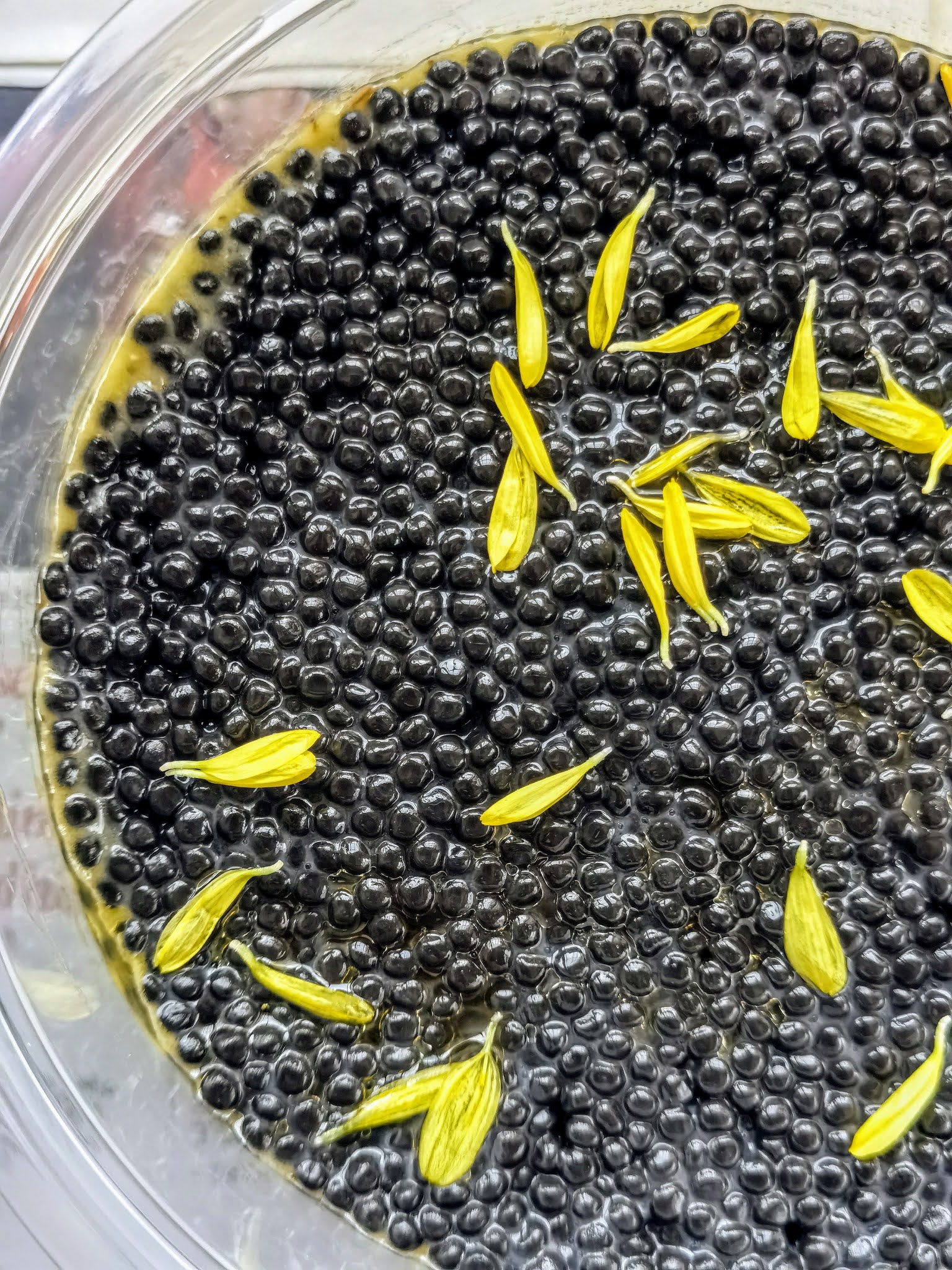 Buko Nero Artisanal Italian Favourites @ 126, Tanjong Pagar · Takeaway ...