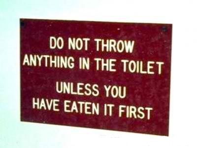 DO NOT THROW ANYTHING IN THE TOILET