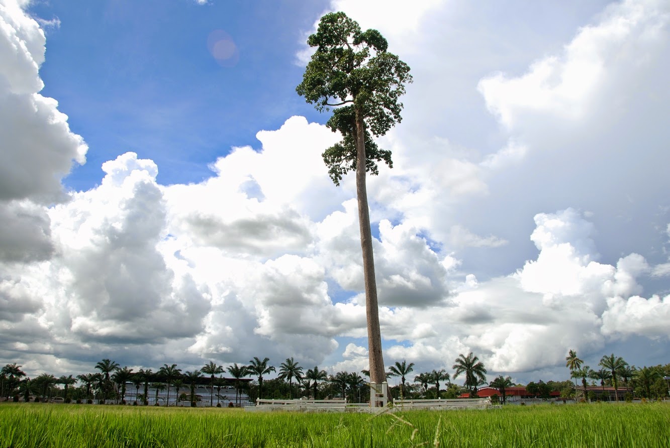 Carl James & Kate: Travelling to Mindanao via RORO