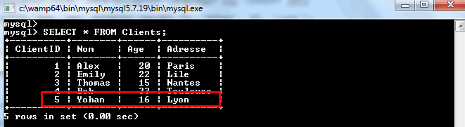 MySQL INSERT INTO - WayToLearnX
