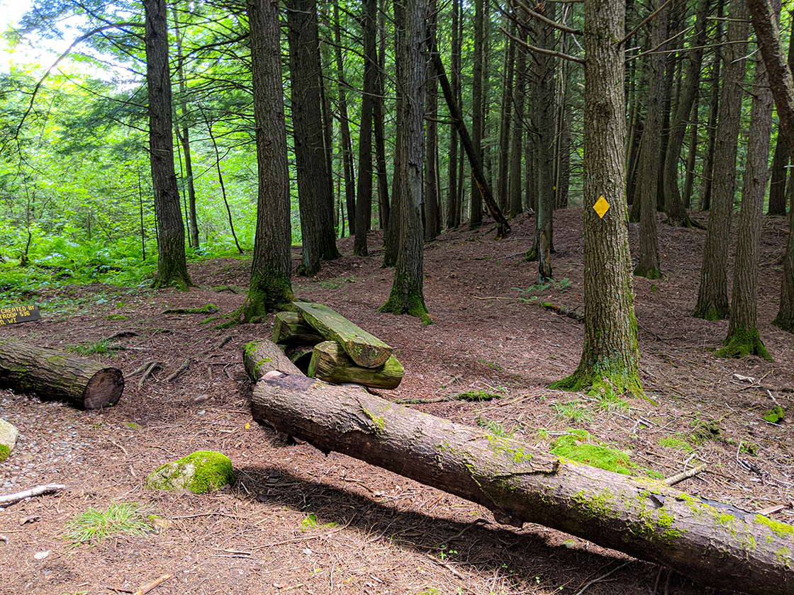 Hiking the Ice Age Trail Pine Line Segment