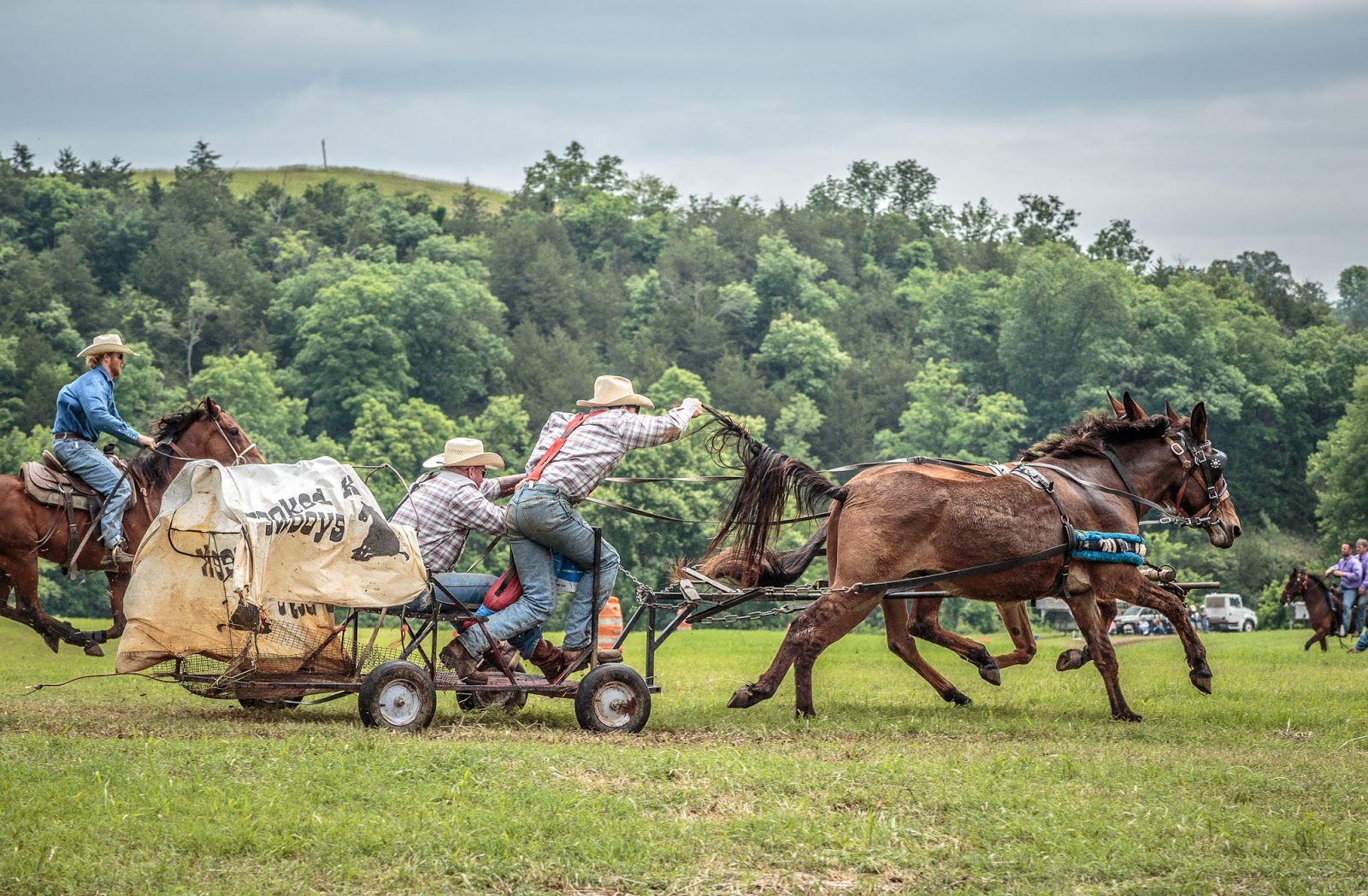 Mules and More Magazine: 10th Annual Rock Bottom Chuck Wagon Races