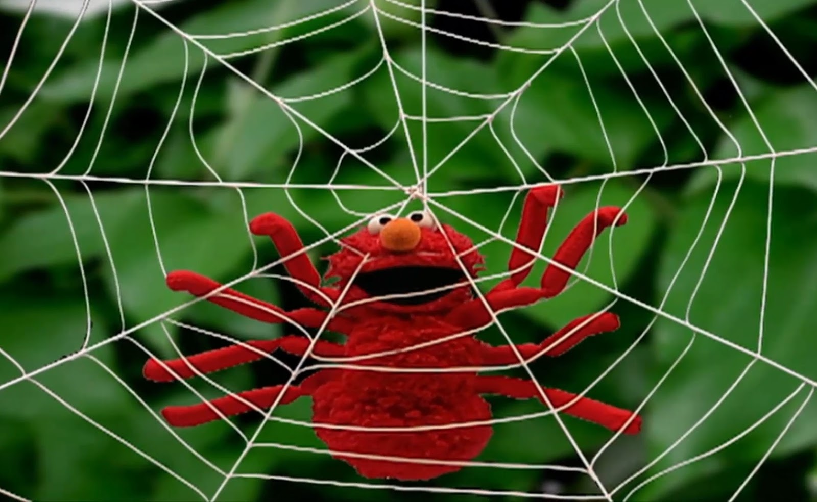 Watch Elmo's World Bugs