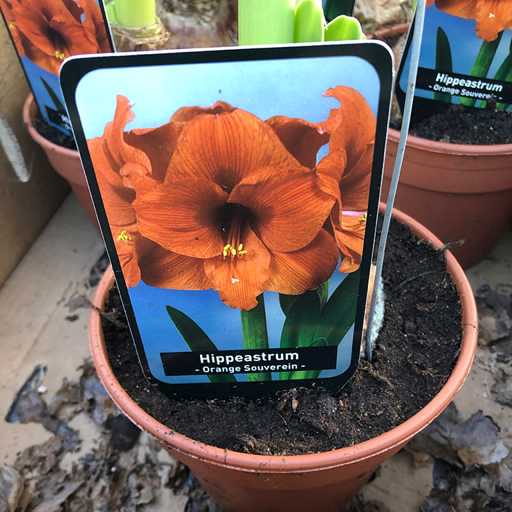 Konst eller konstigt: Glad måndag i ”punktform”Computerart - datorkonst