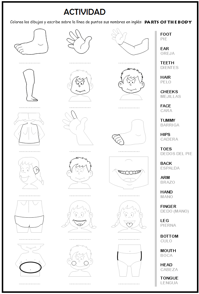 EL MUNDO MÁGICO DEL INGLÉS: BODY PARTS