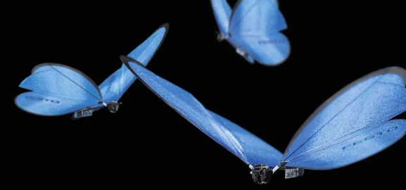 Festo Bionic Butterfly Robot Review Price | Robot Butterfly Specification