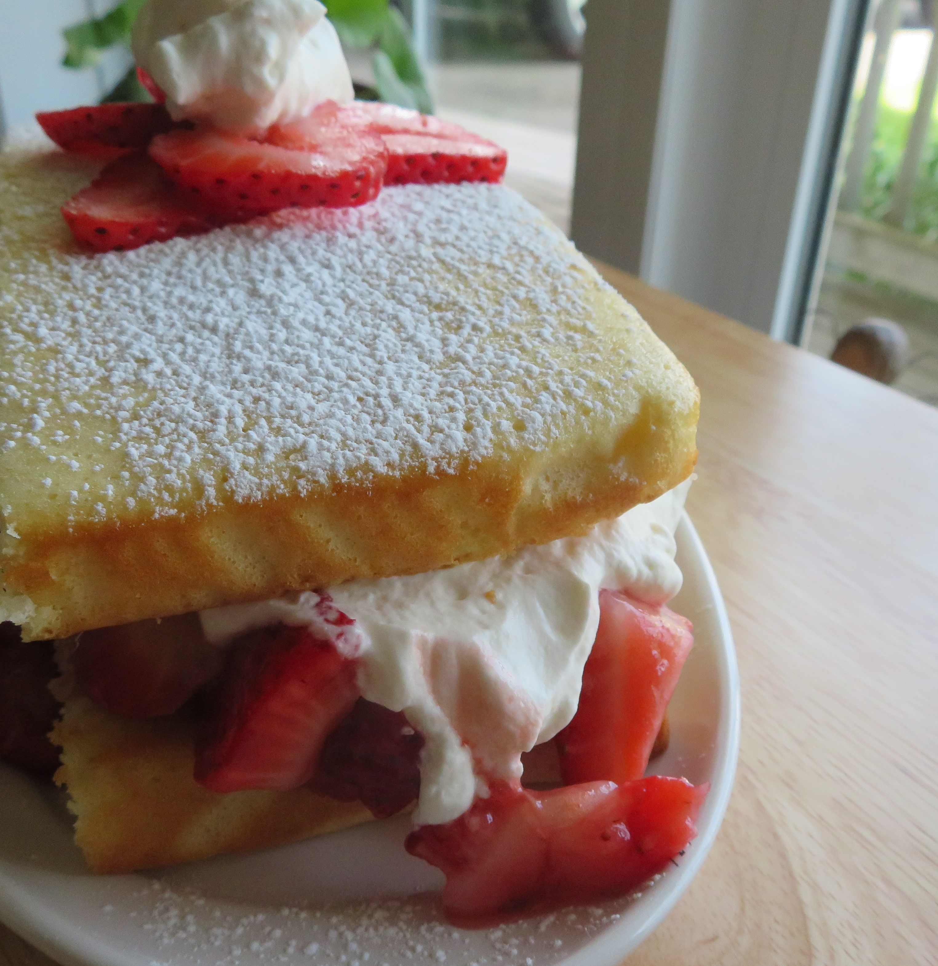 Hot Milk Sponge Cake (small batch) | The English Kitchen