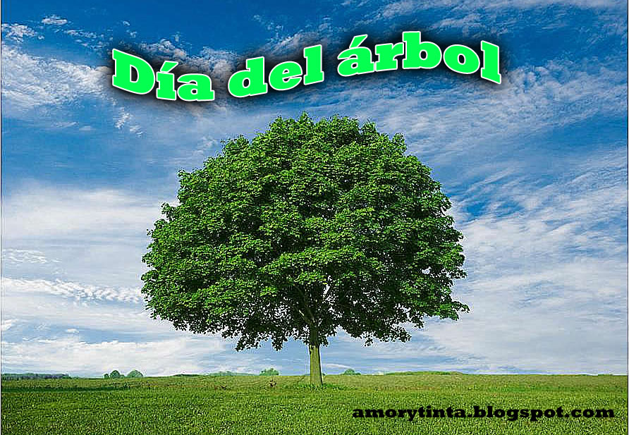 Amor y Tinta: Imagenes del día del árbol