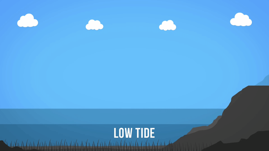 Part - 3 | ऊर्जा के गैर पारंपरिक स्रोत | ऊर्जा के स्रोत | Study notes ...