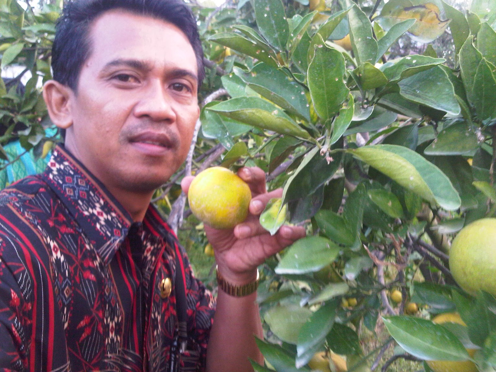 Bibit Tanaman Kehutanan, Perkebunan dan Pertanian