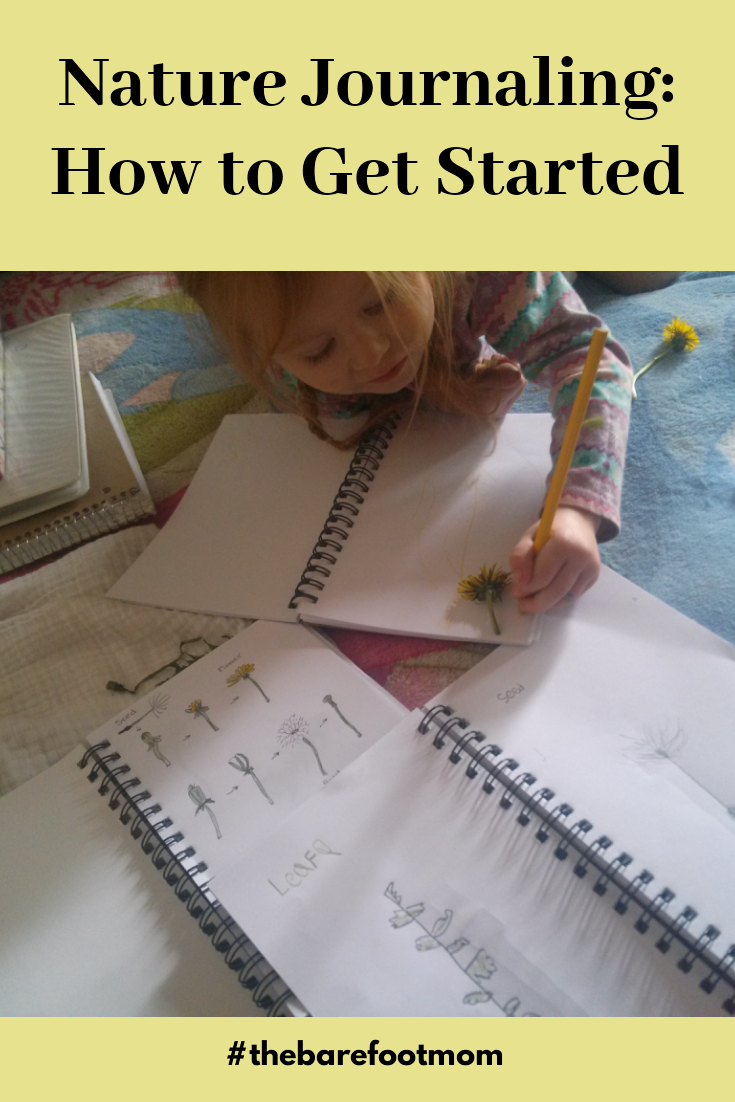 Nature Journaling: How to Get Started