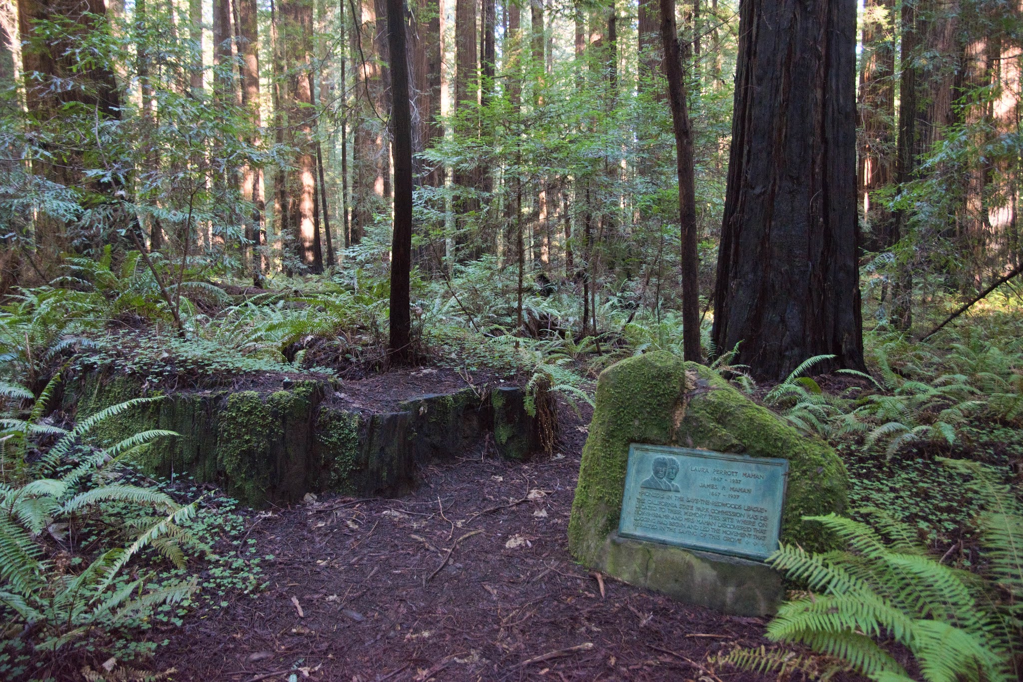 Hiking Shenandoah: Founders Grove and Mahan Plaque