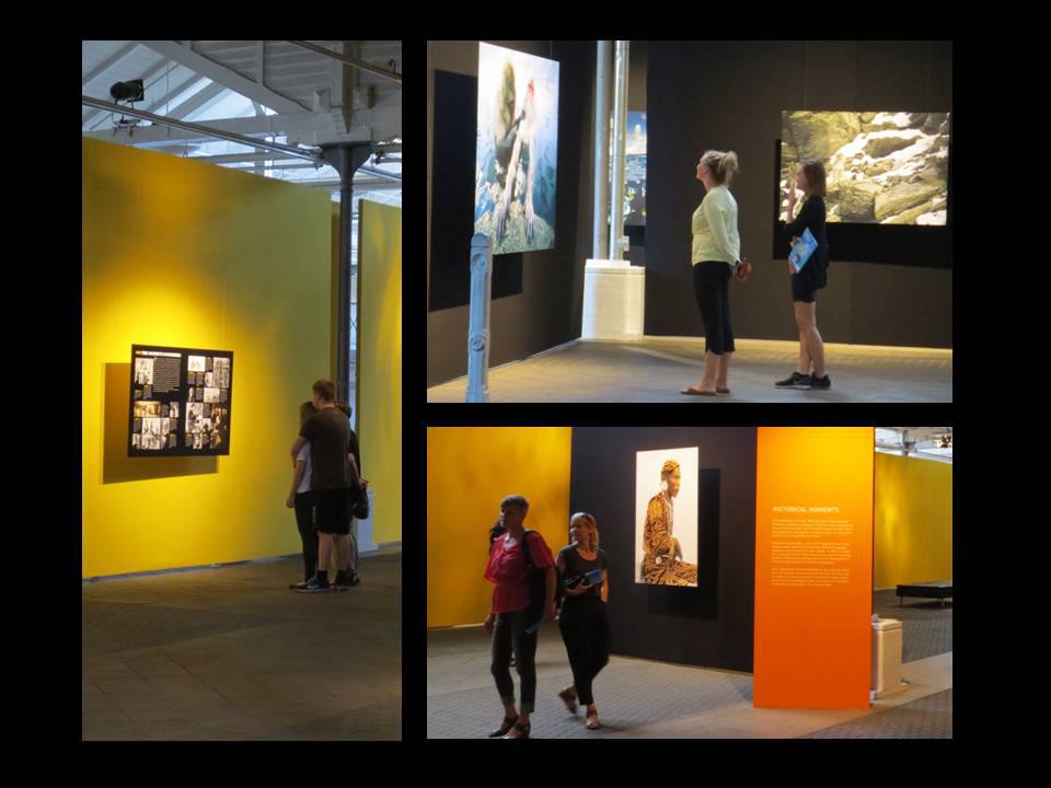 Jim Brandenburg: Exhibition Celebrates 125 Years of National Geographic