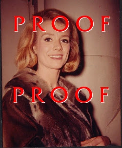 Inger Stevens: What Remains Behind: In Memory of Jerry Lem and the ...