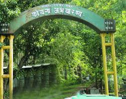 Travel-India: Koyna Wildlife Sanctuary