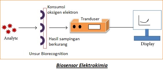 Apa itu Biosensor, Jenis-Jenis Biosensor dan Aplikasi - Belajar Elektronika