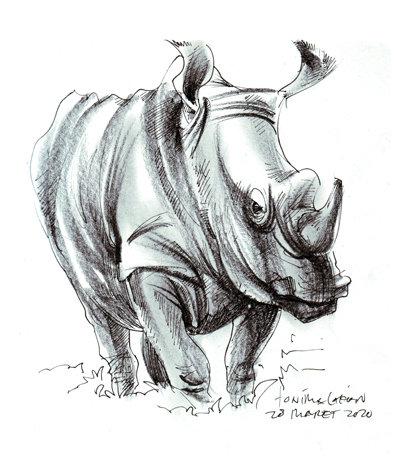 sketches and drawing