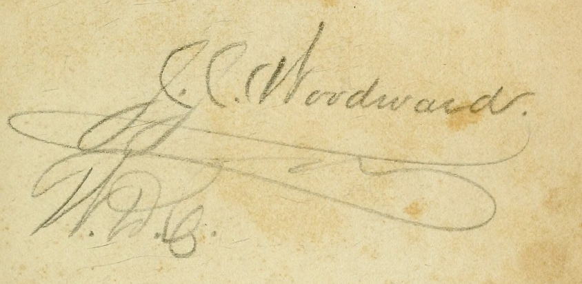 Melvilliana: J. J. Woodward's Moby-Dick