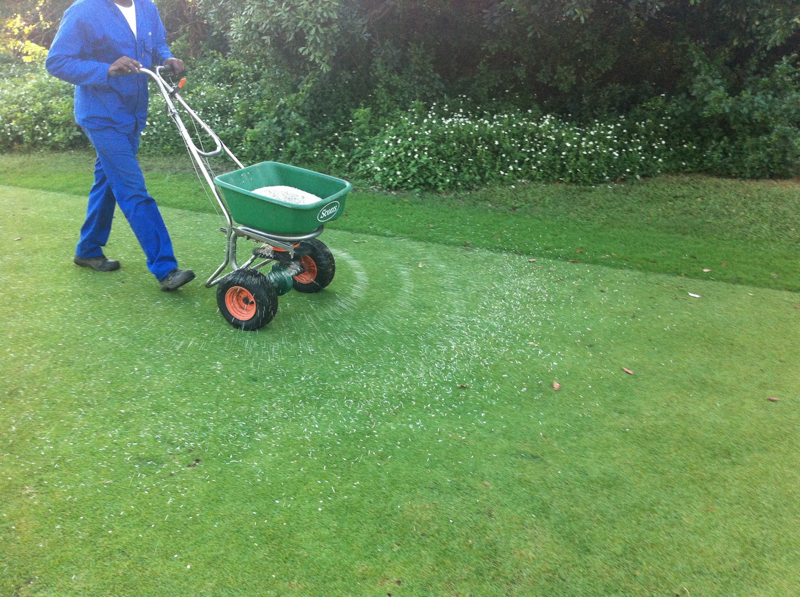 Durban Country Club Golf Course: Composting and Fertilizing tee's