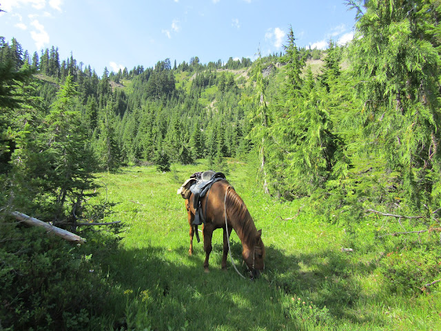 Holly's Horse Tales and Trails: Black Pine and Conrad Meadows Horse ...