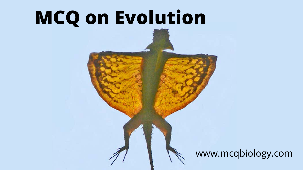 Multiple Choice Questions On Evolution multiple-choice-questions-on-evolution