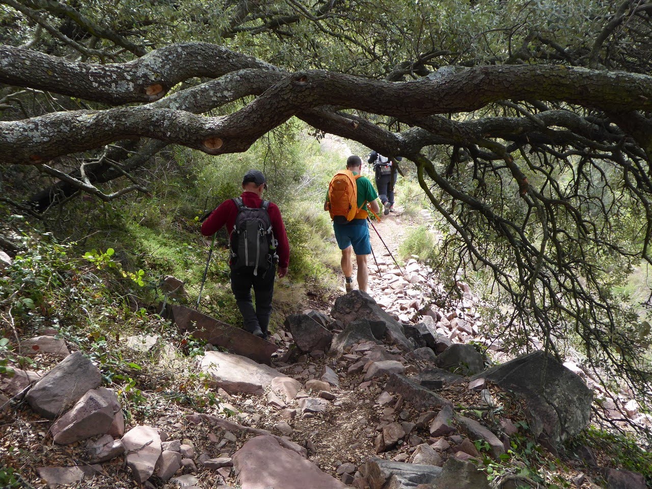 2019 - 04 Aín, Penya Pastor, Gurugú, Pico Espadán, Collado Íbola ...