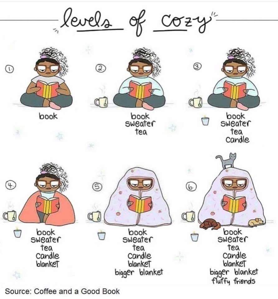 COMFY HOUSE: levels of cozy