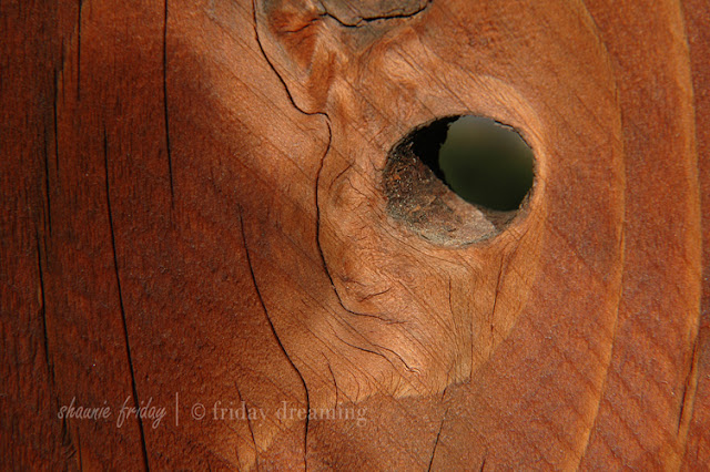 Through A Knothole . . . Darkly