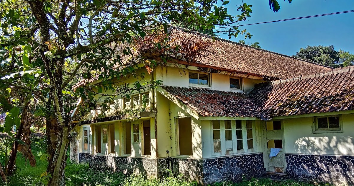 Jejak Kolonial: Menguliti Sejarah Pemberantasan Tuberculosis di ...