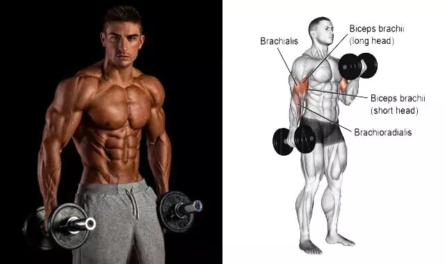 Top 5 Dumbbell Exercises For Building Strength