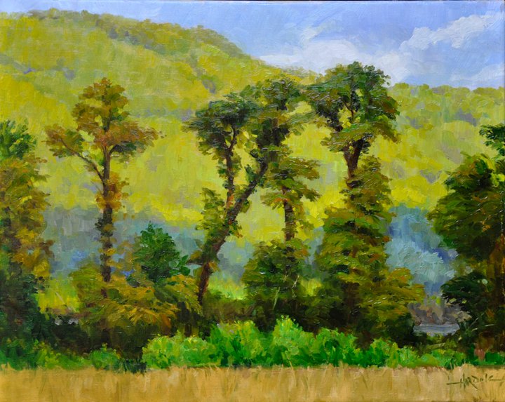 Scott Harding, 1965 | Tutt'Art@ | Pittura * Scultura * Poesia * Musica