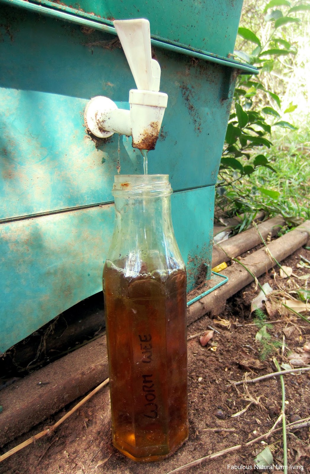 Fabulous Farm Living: Worm farm