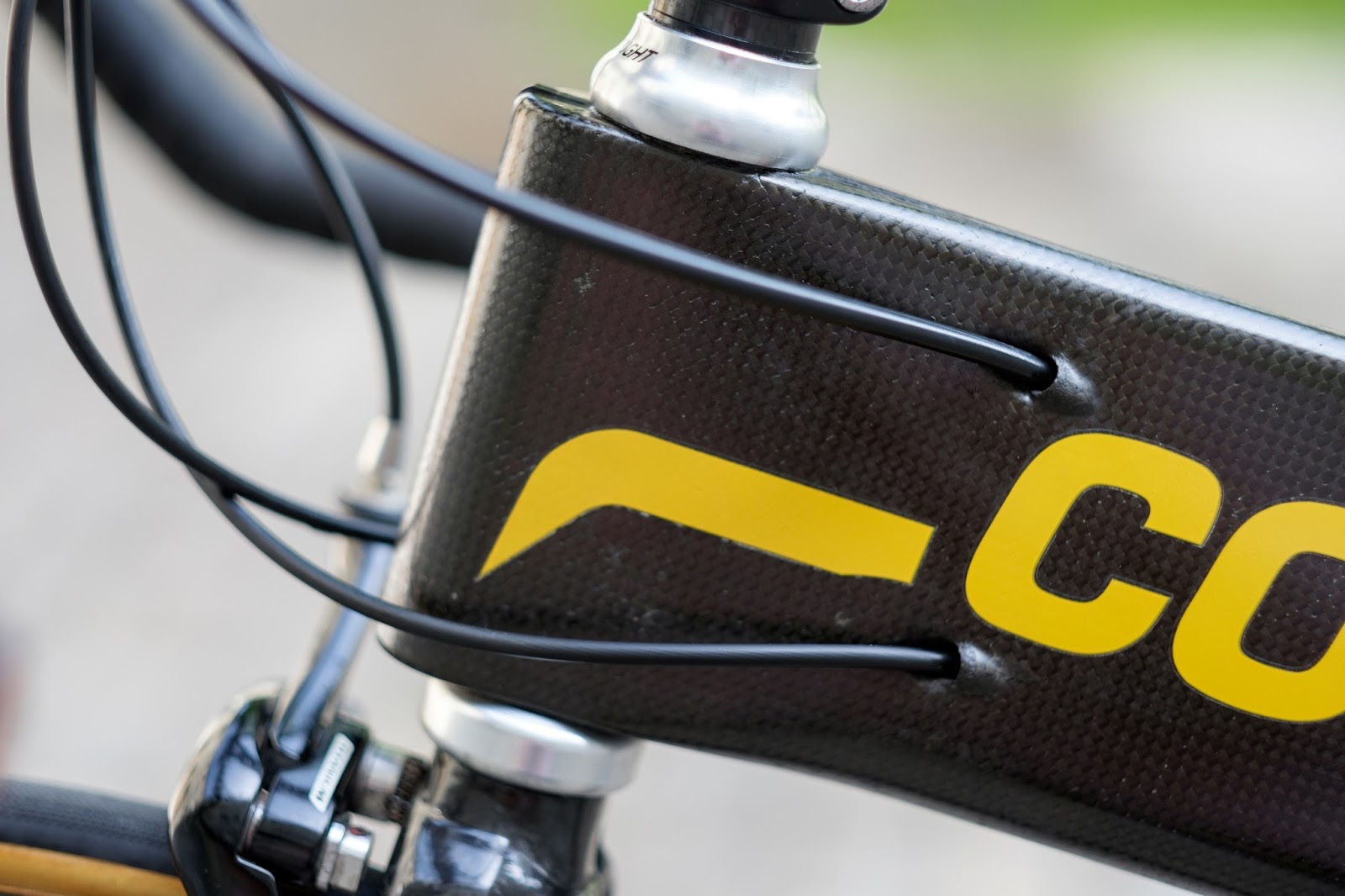 Zuwachs im Zoo: Corima Fox